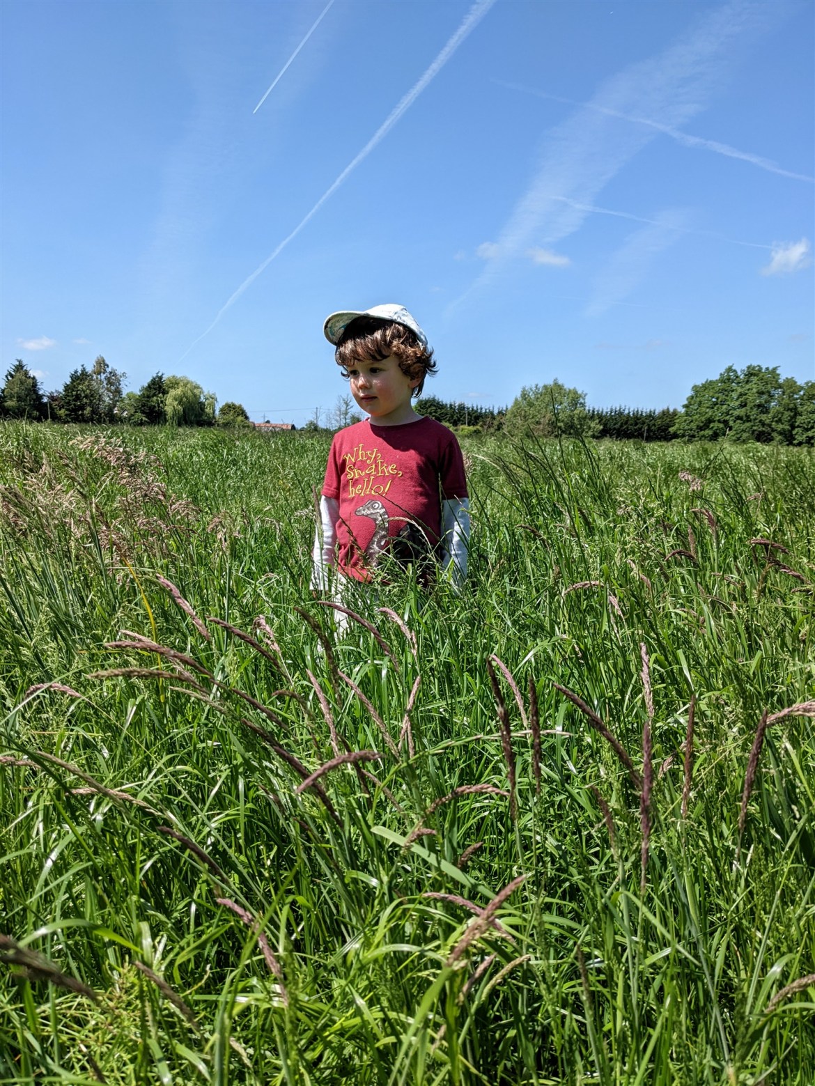 35th anniversary photo competition – ‘One planet… many ways to care for ...